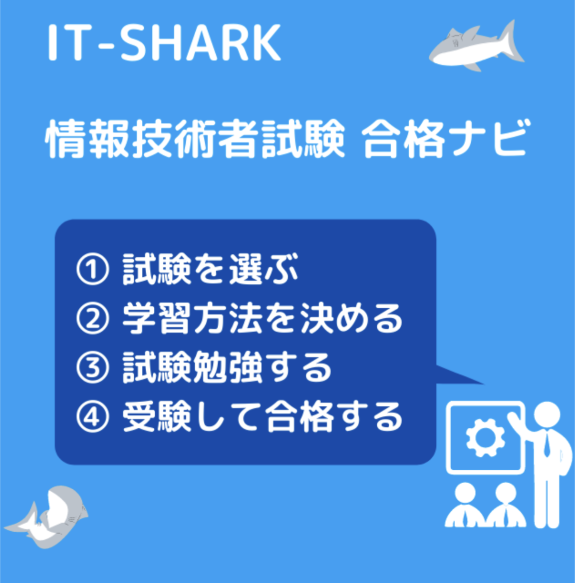 IT-SHARK